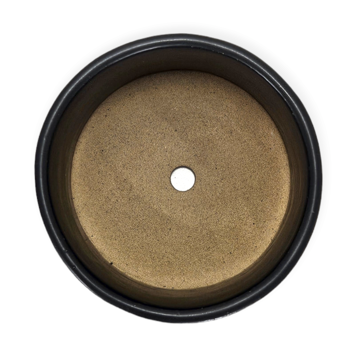 horse femur pot – Arrows Aim Greenhouse & Supply Co.