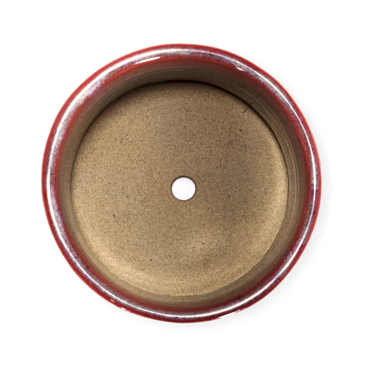 ruby petal pot – Arrows Aim Greenhouse & Supply Co.